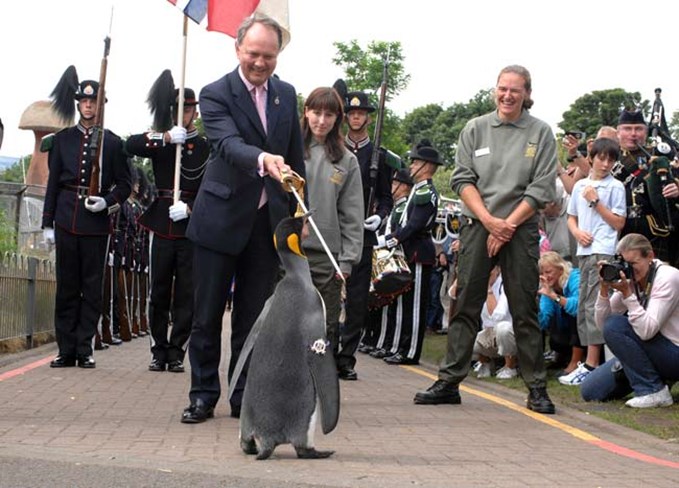 Sir Nils Olav III – O Pinguim Coronel - Vida na Escócia